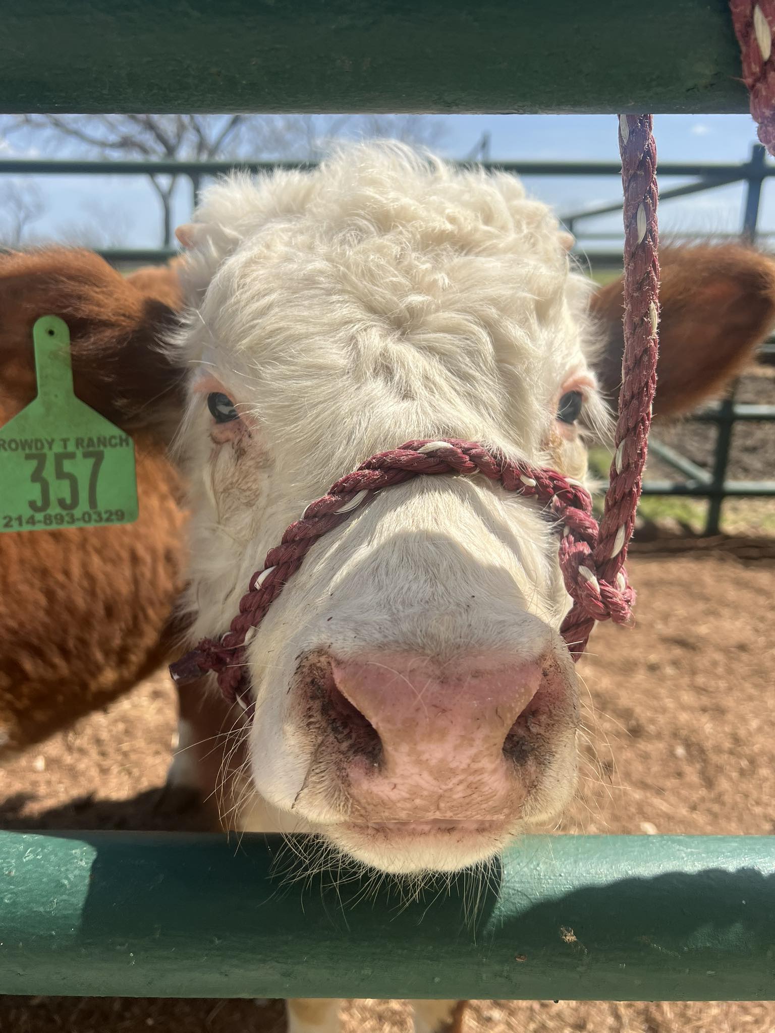 Rowdy T Burger Stop – Rowdy T Ranch